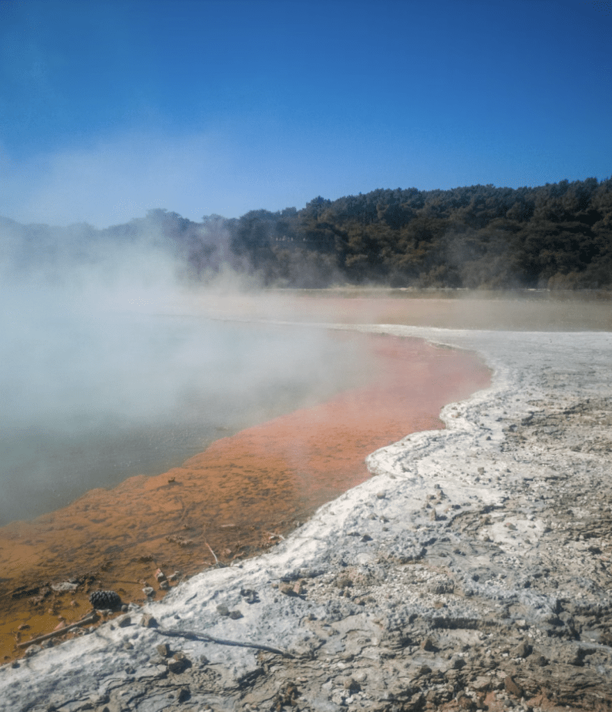 Things to Do in Rotorua and Auckland: A Guide to Exploring Two Iconic ...